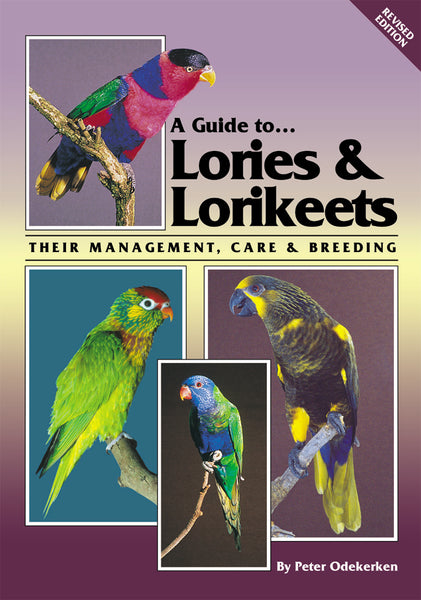 A Guide To Lories And Lorikeets And Dvd Package Special Abk Publications
