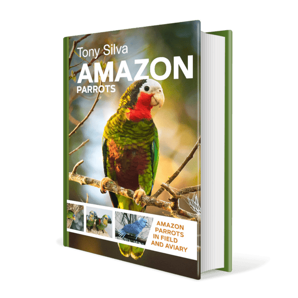 Amazon Parrots: Amazon Parrots in Field and Aviary - ABK Publications